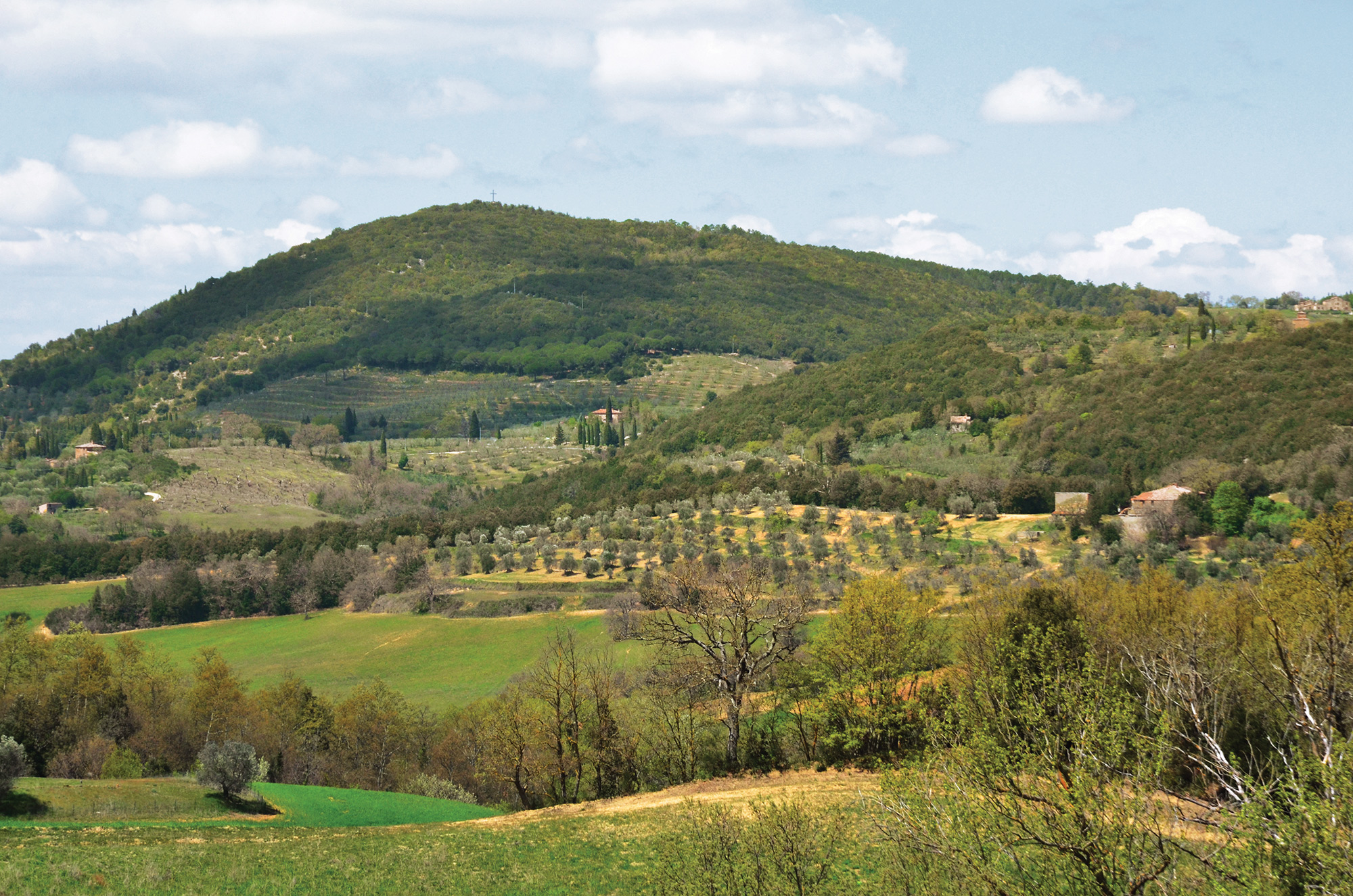 Paesaggio Rurale Storico – Comune di Trequanda